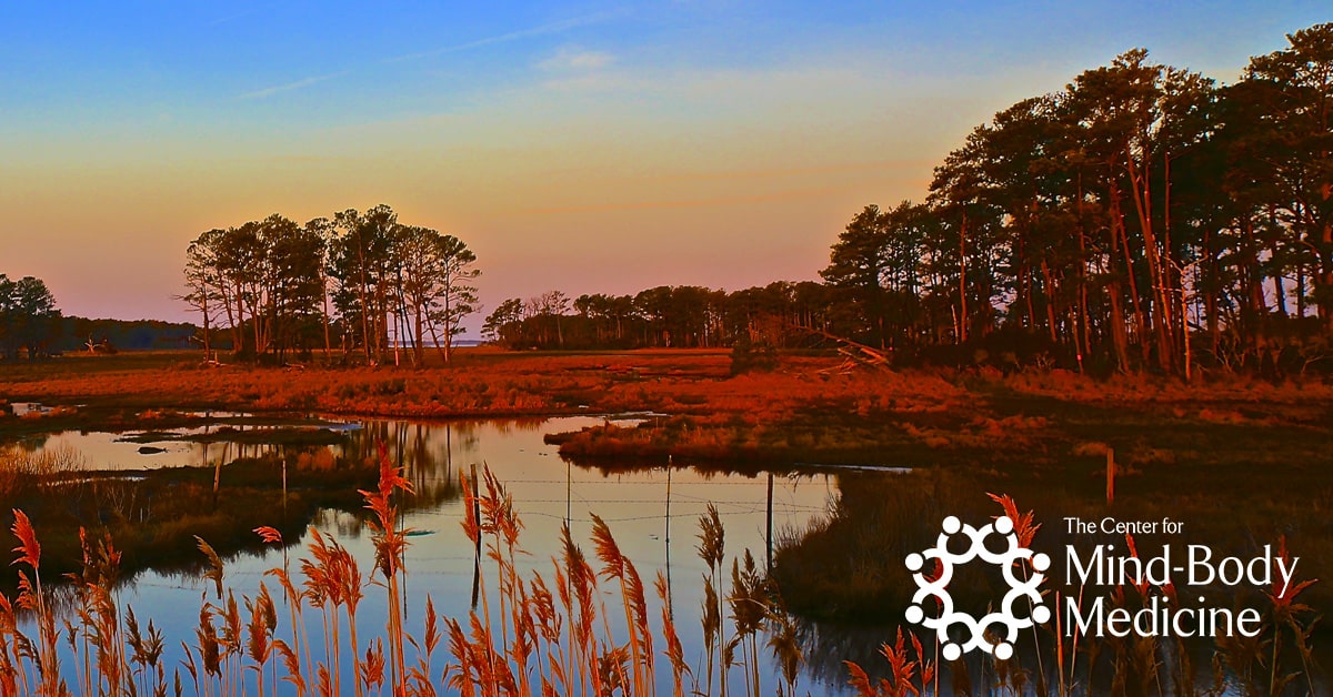 The Center for Mind Body Medicine